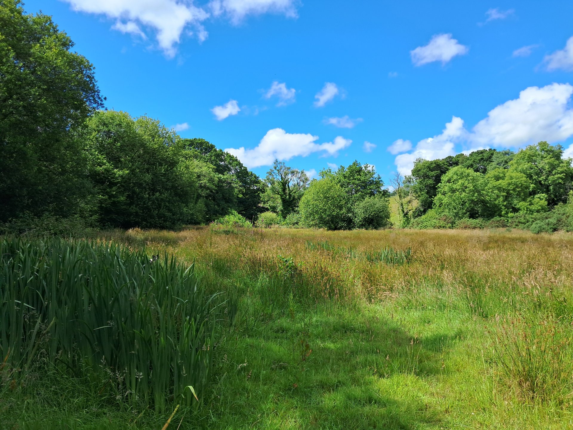 ]How to improve and get the most from my small parcel of land | The ...