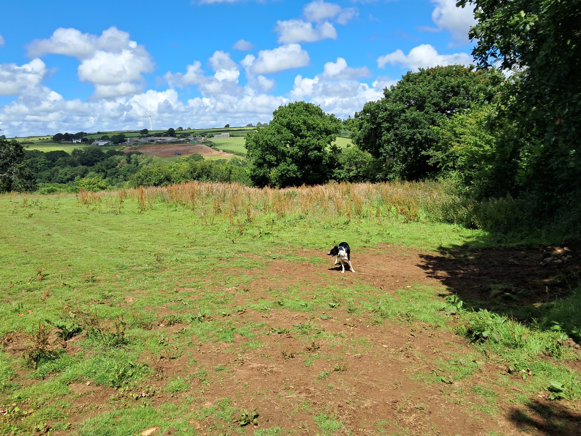 ]How to improve and get the most from my small parcel of land | The ...