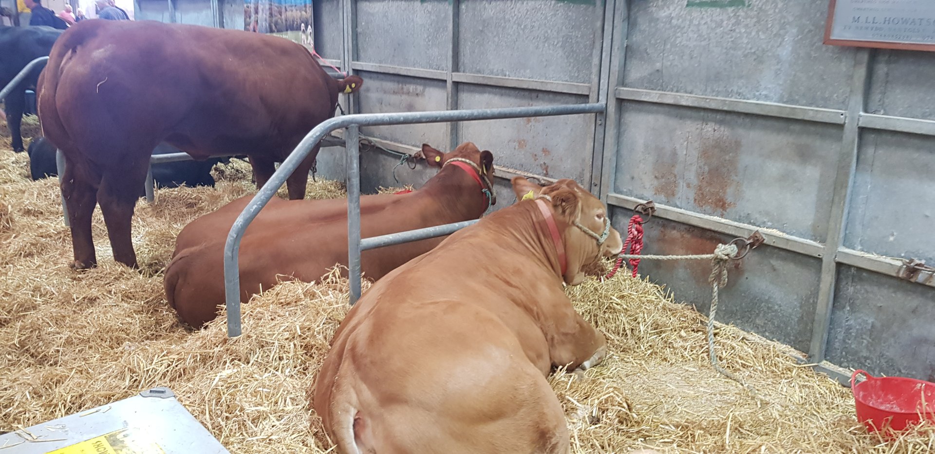 RWAS 2024 | Page 2 | The Farming Forum