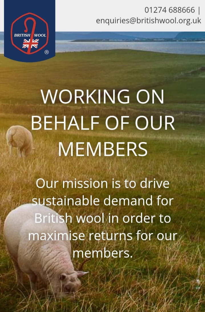 NSA Sheep 24 | Page 7 | The Farming Forum