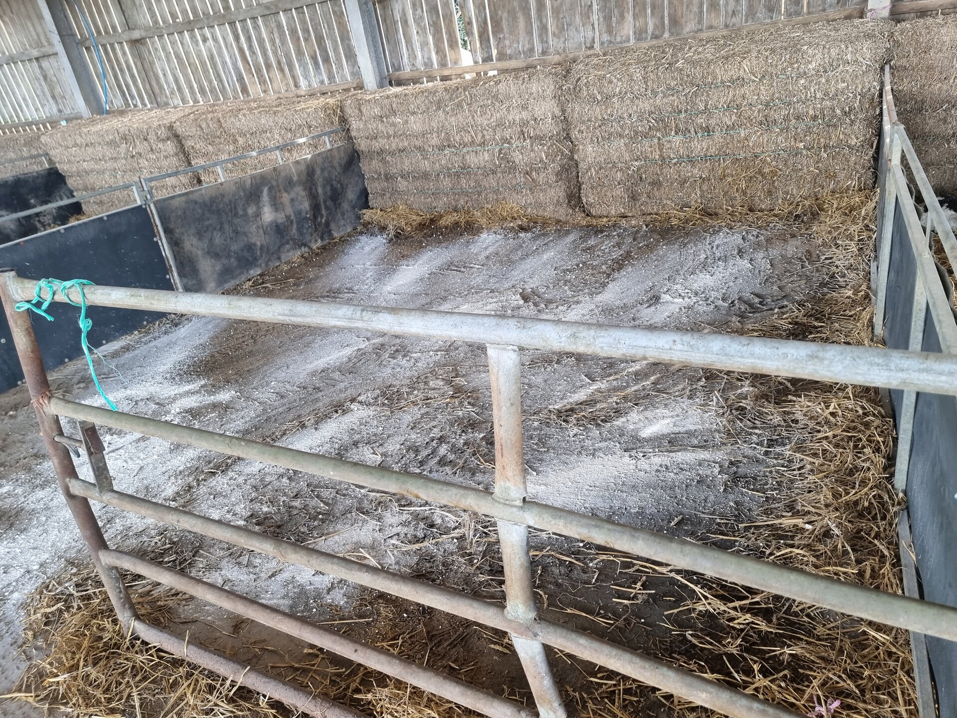 Newborn calf feeding protocols | Page 2 | The Farming Forum