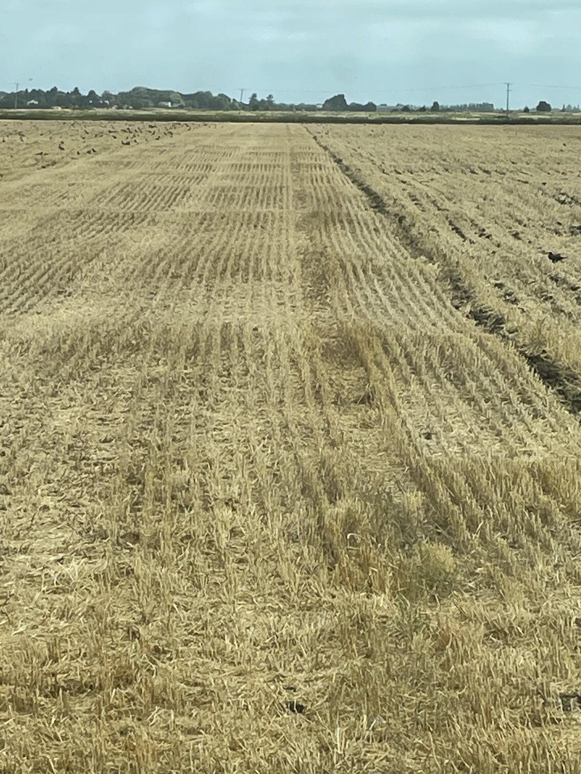 Leveling rigg and furrow in a field | Page 5 | The Farming Forum