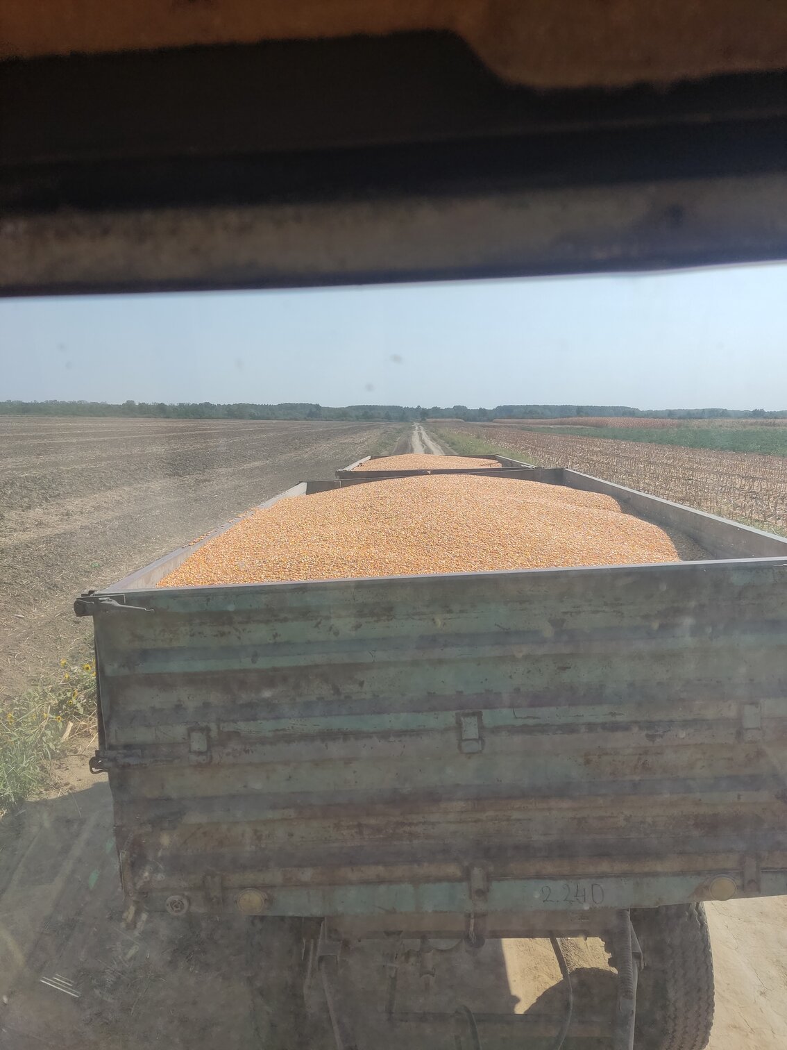Maize 24 | Page 32 | The Farming Forum