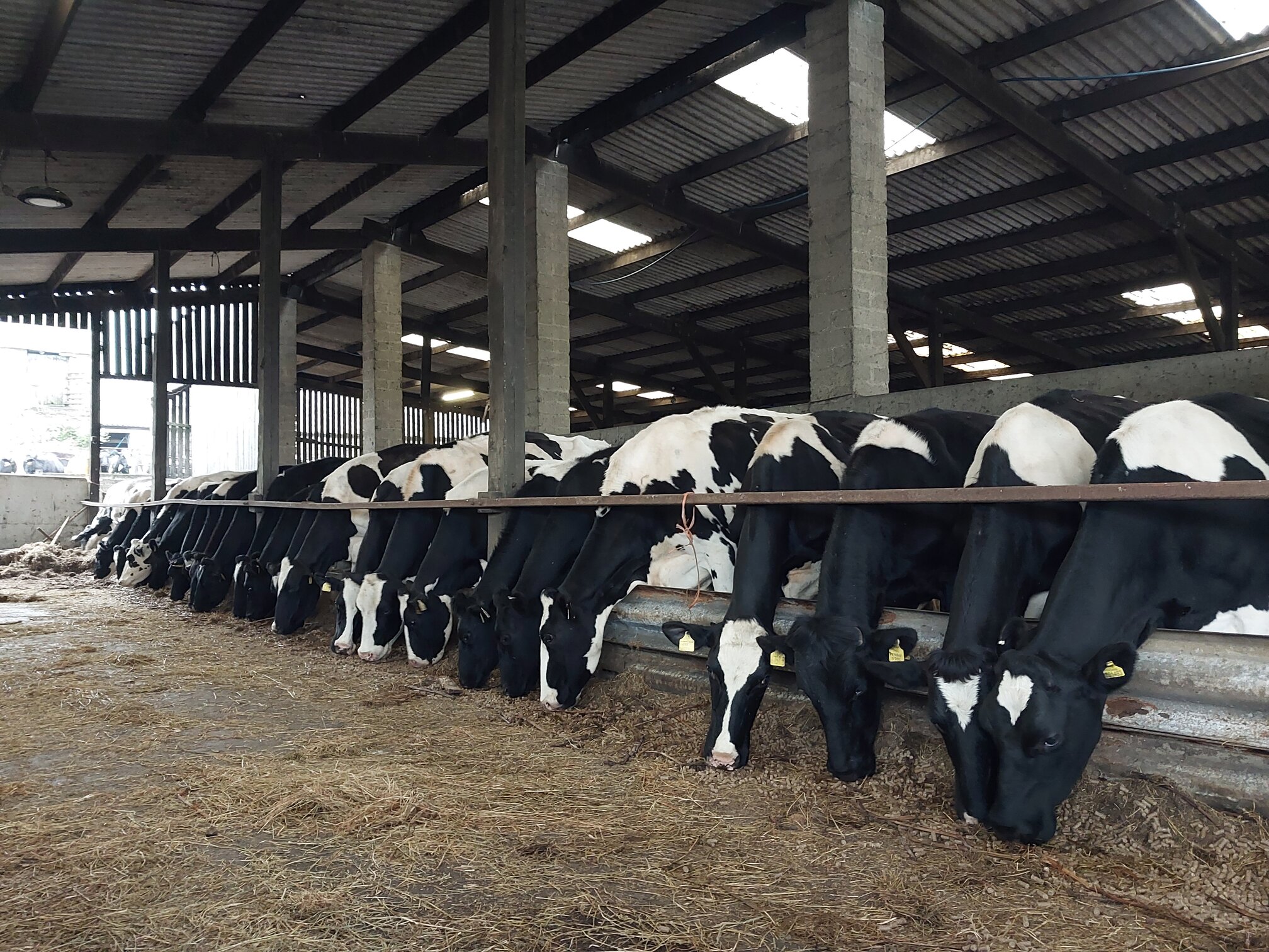 All things Dairy | Page 3400 | The Farming Forum