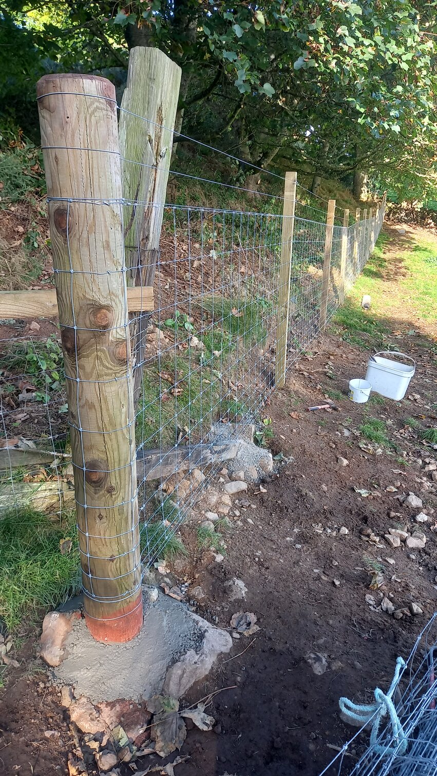 The Fencing Picture Thread | Page 113 | The Farming Forum