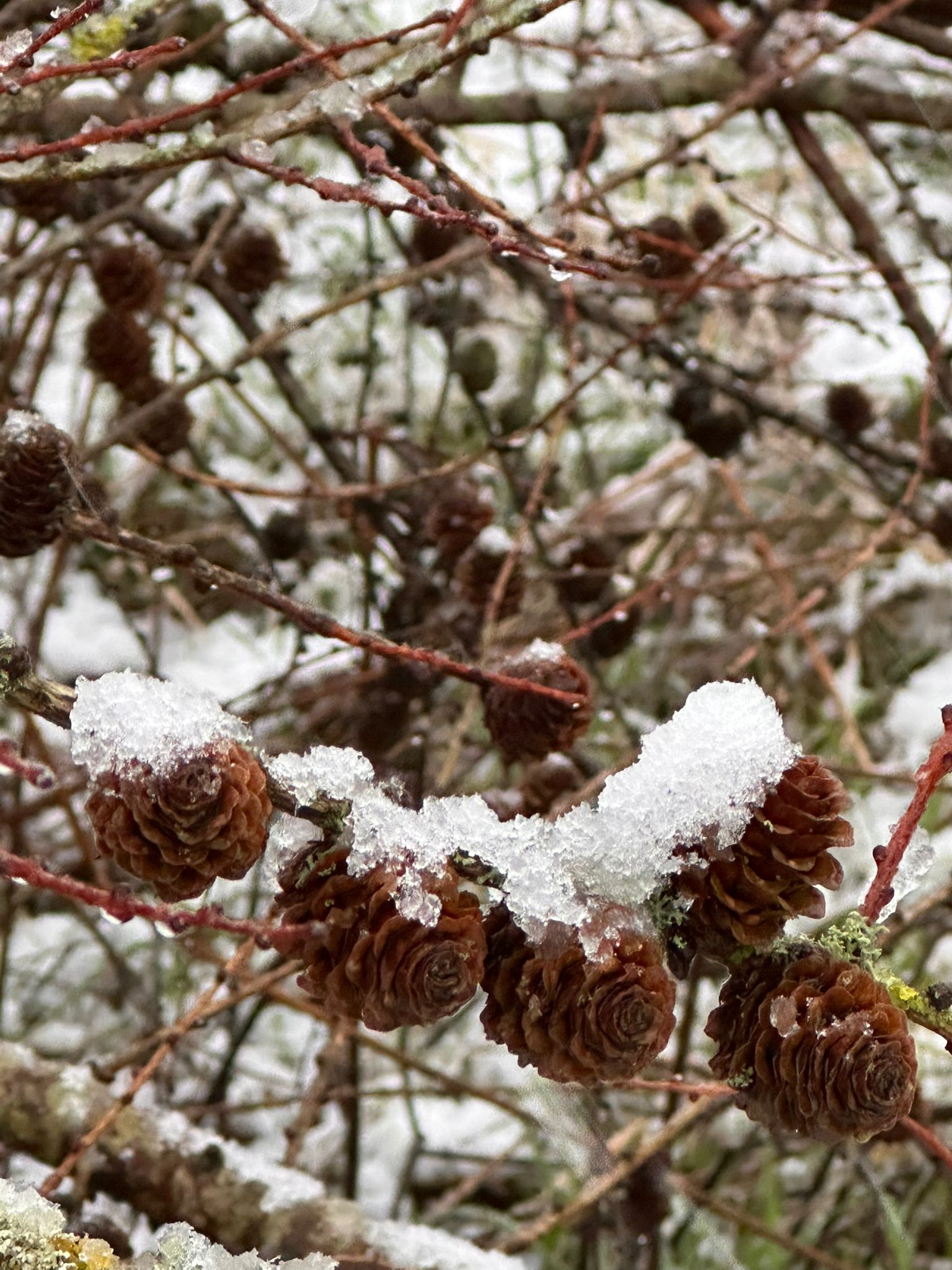 Gone's random pictures | Page 7 | The Farming Forum