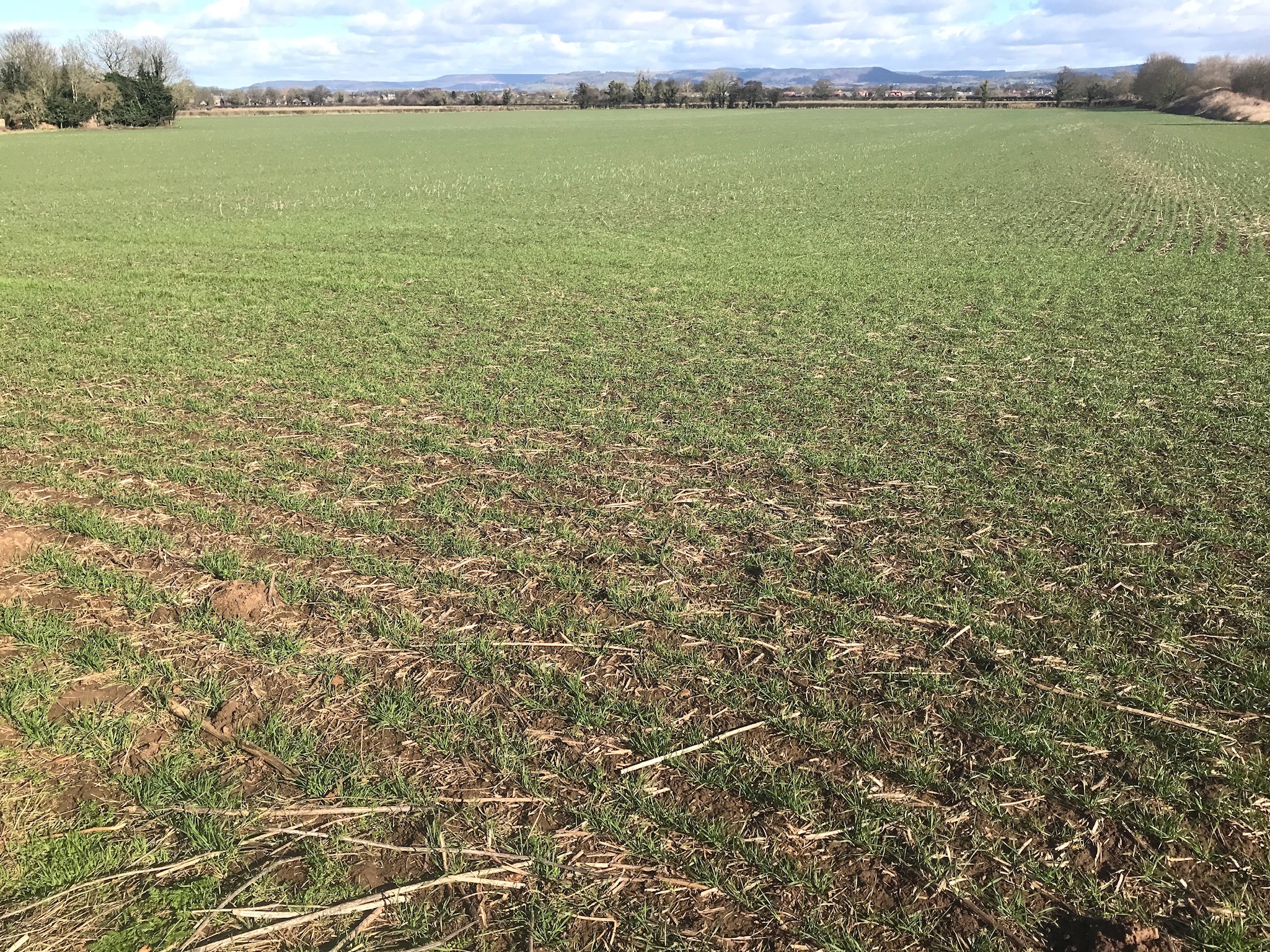 Direct/Strip-till drilling photo gallery | Page 151 | The Farming Forum