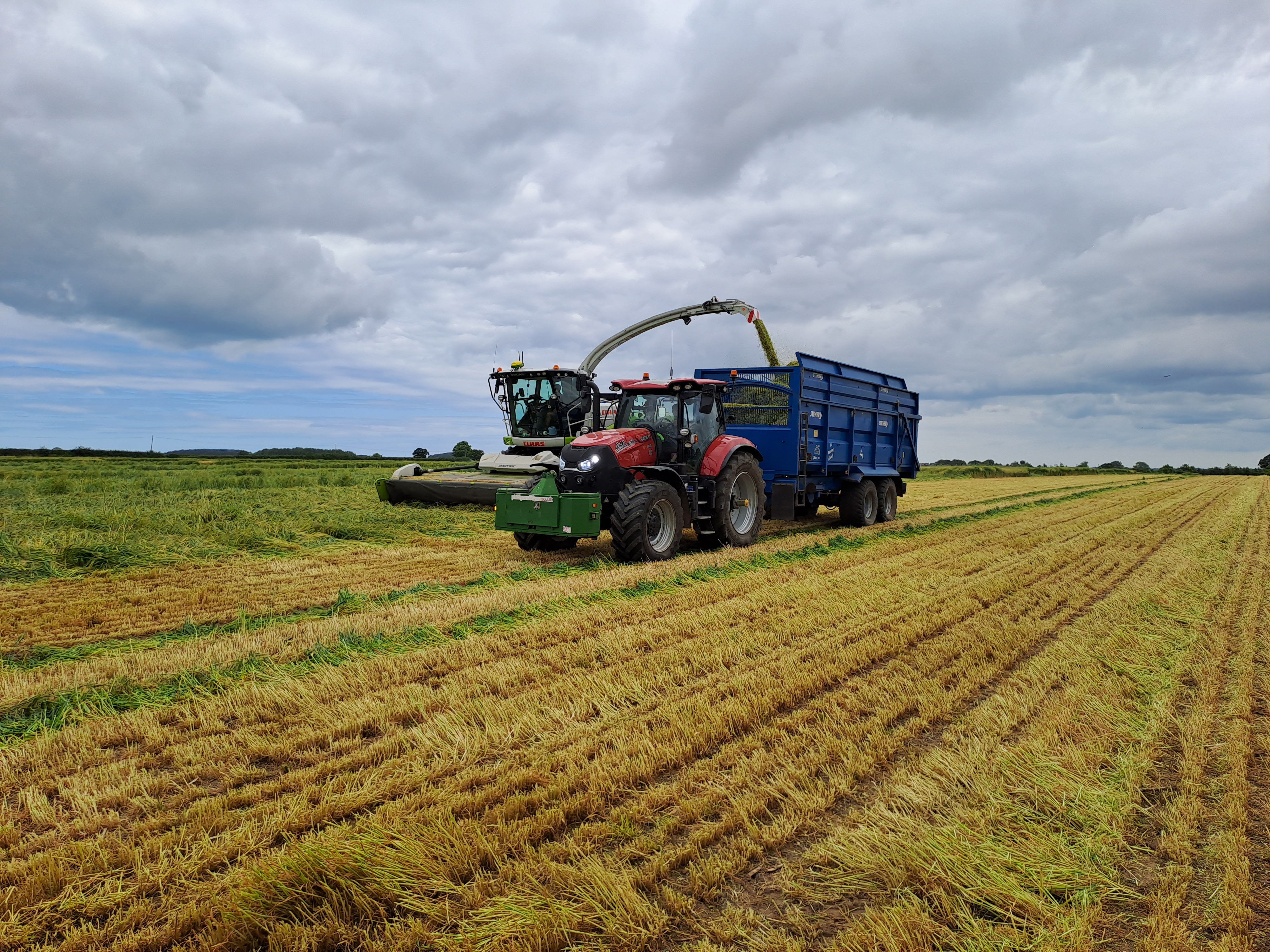 Direct/Strip-till drilling photo gallery | Page 151 | The Farming Forum