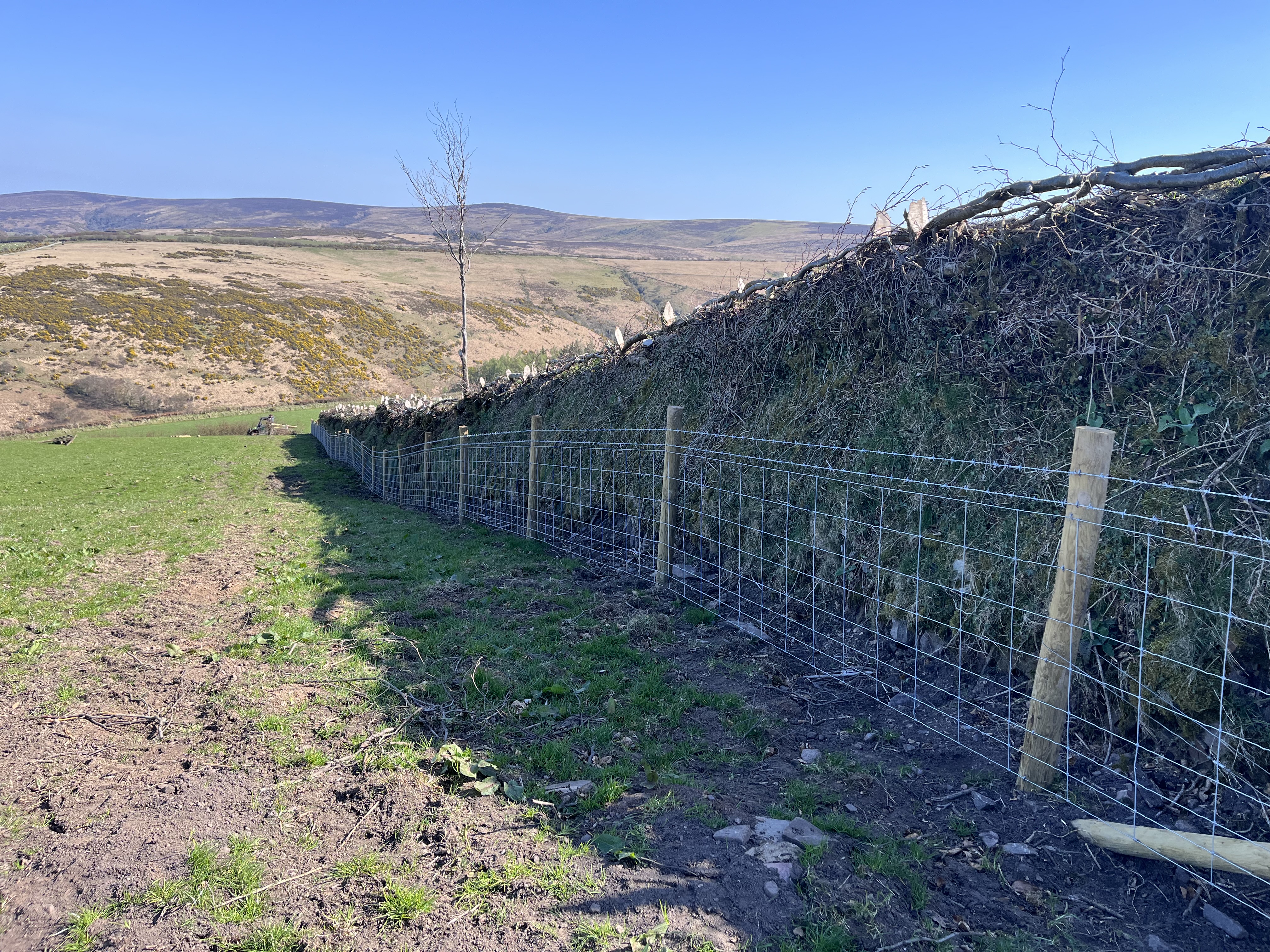 The Fencing Picture Thread | Page 115 | The Farming Forum