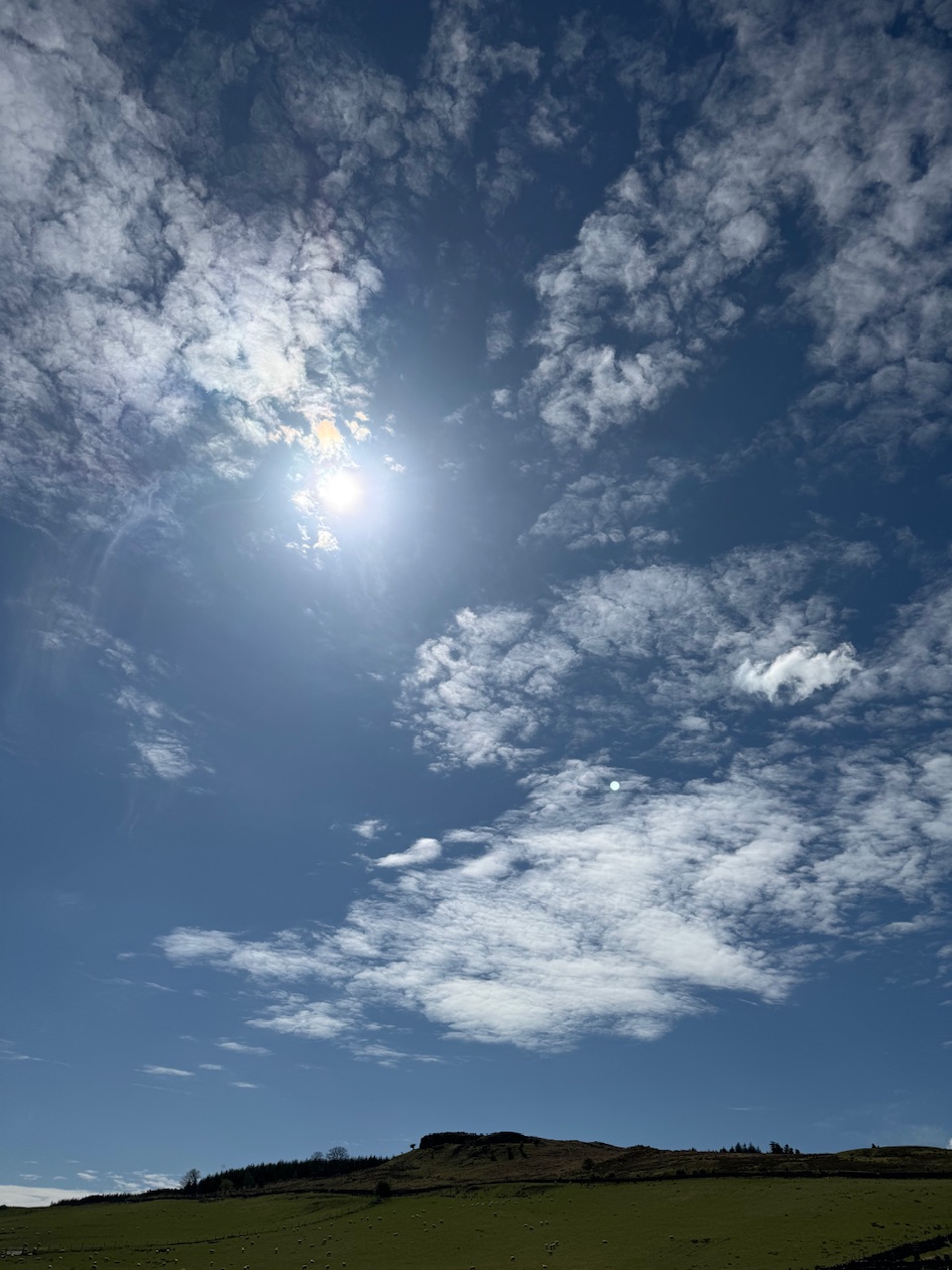 £50m to block out the sun | The Farming Forum