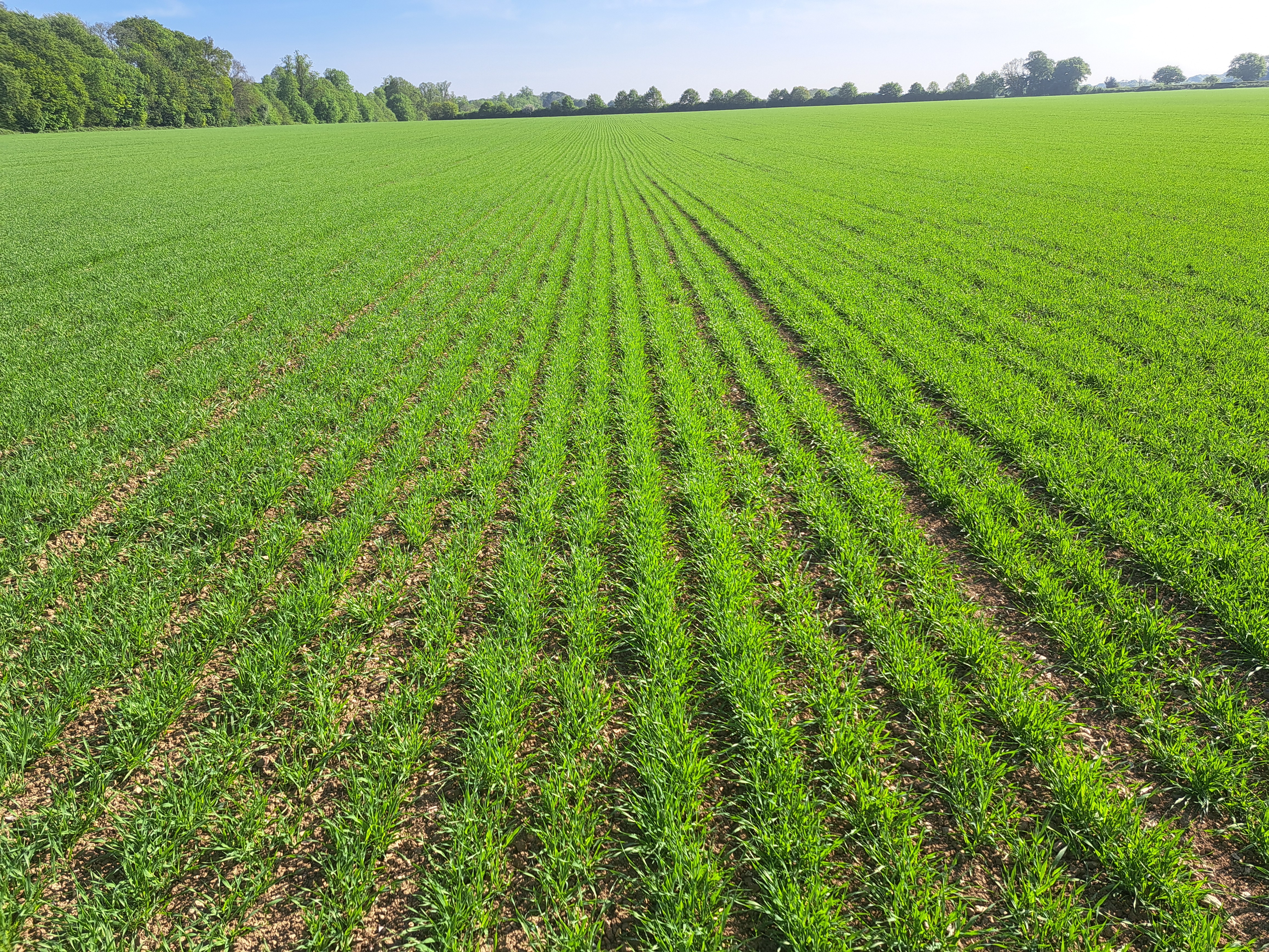 The humble year of an organic farmer | Page 15 | The Farming Forum