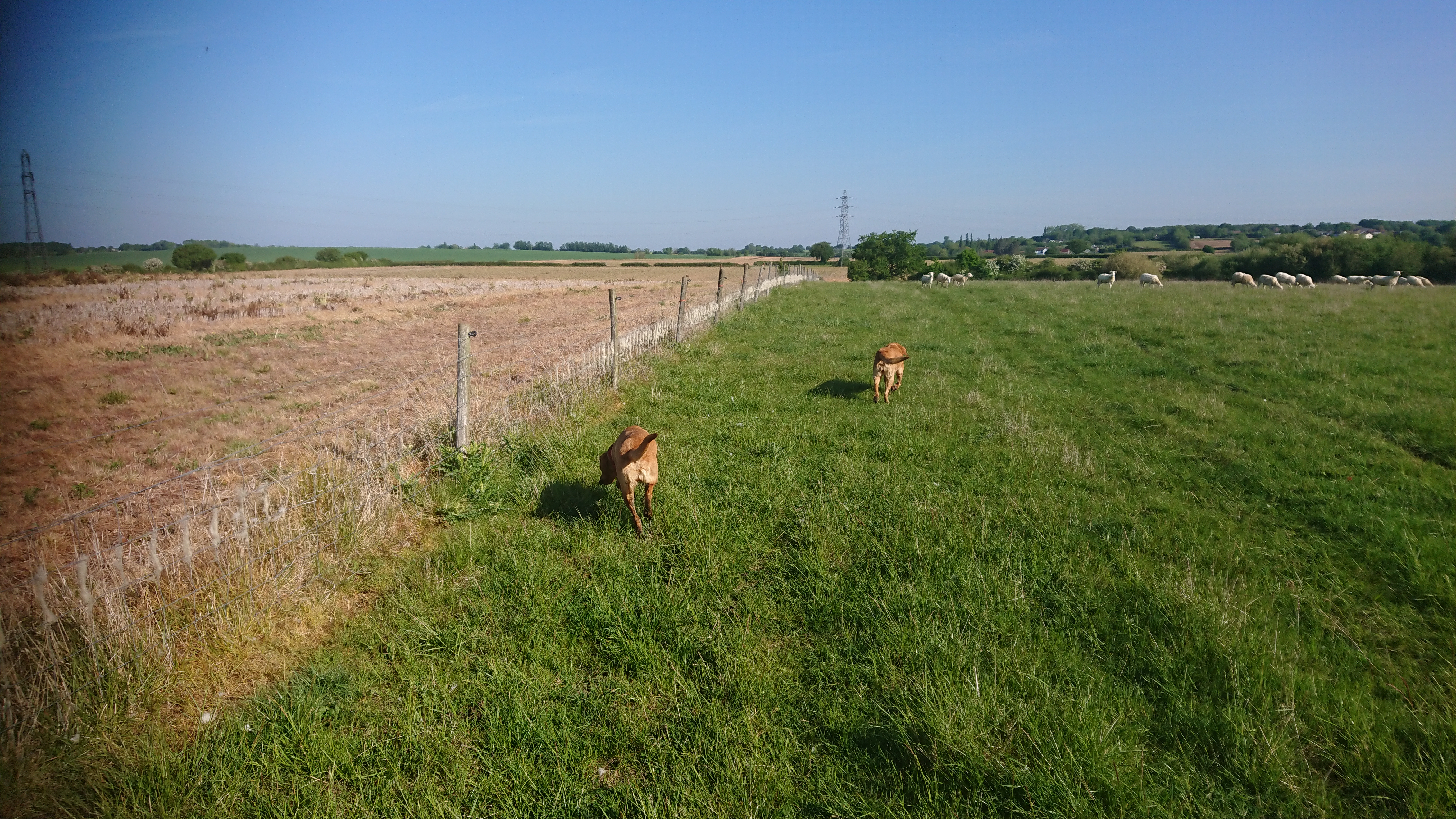 Defra retracts SFI closure for thousands of farmers | Page 5 | The ...