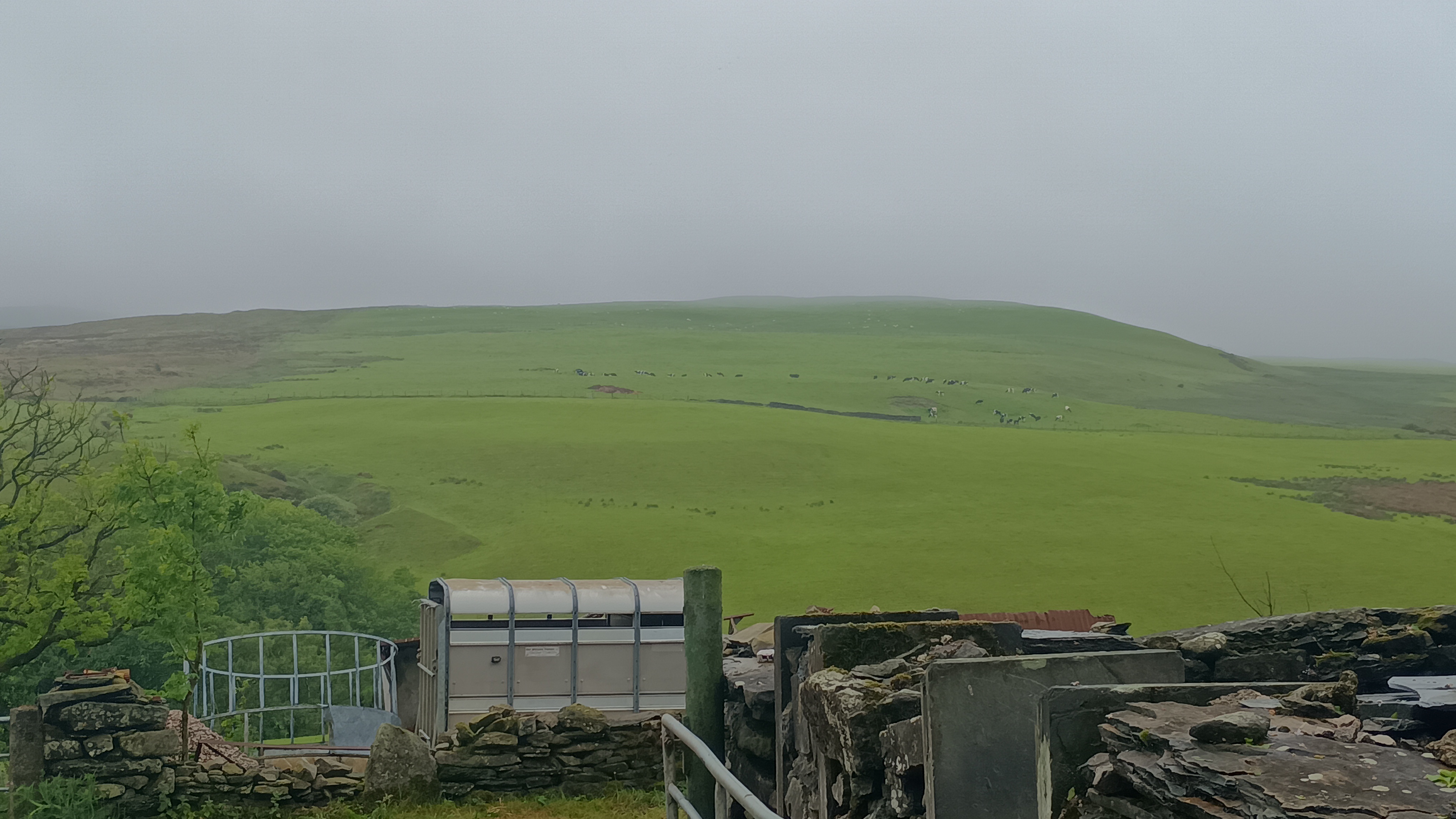 All things Dairy | Page 3592 | The Farming Forum