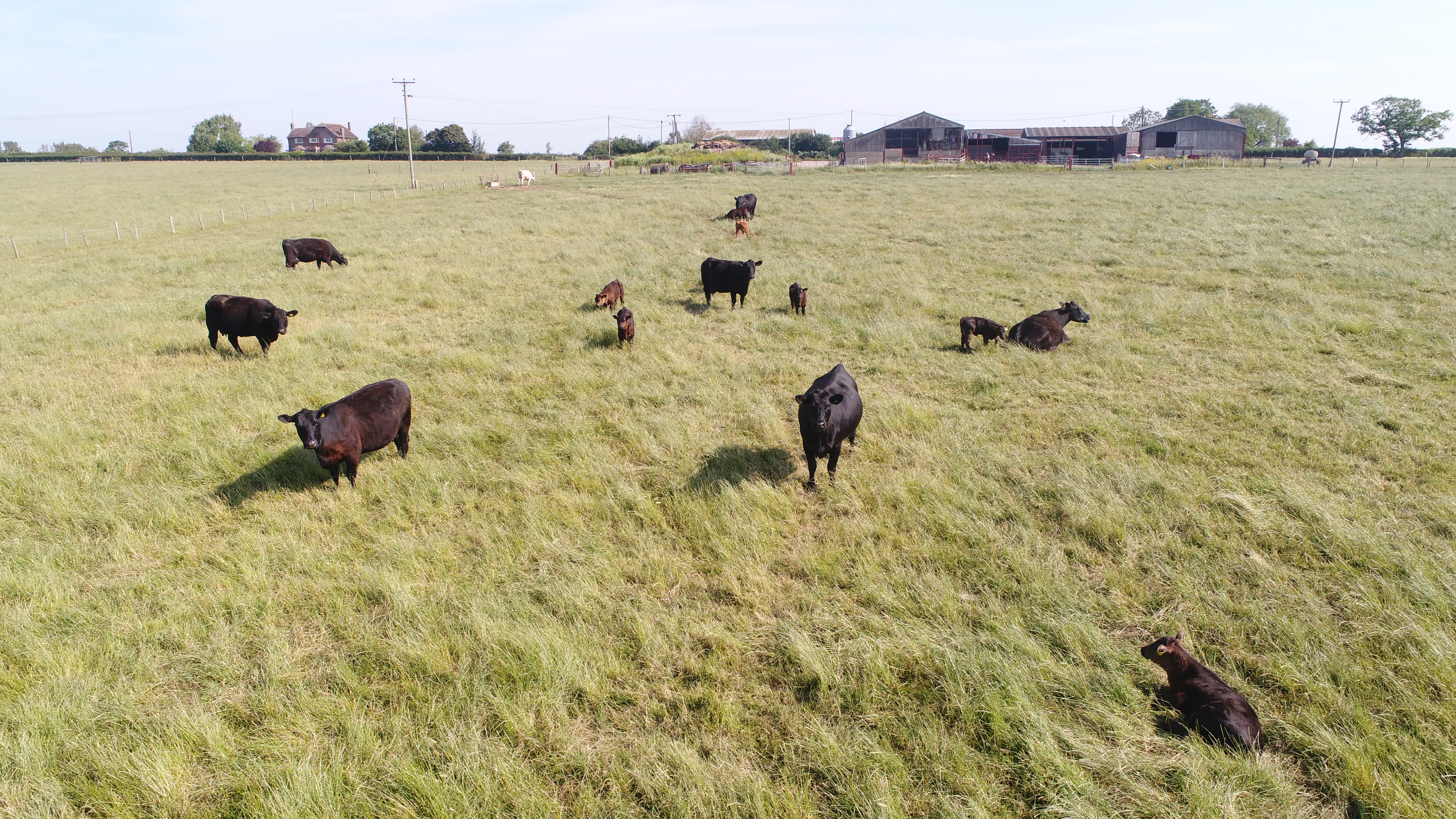 Today at work | Page 7867 | The Farming Forum