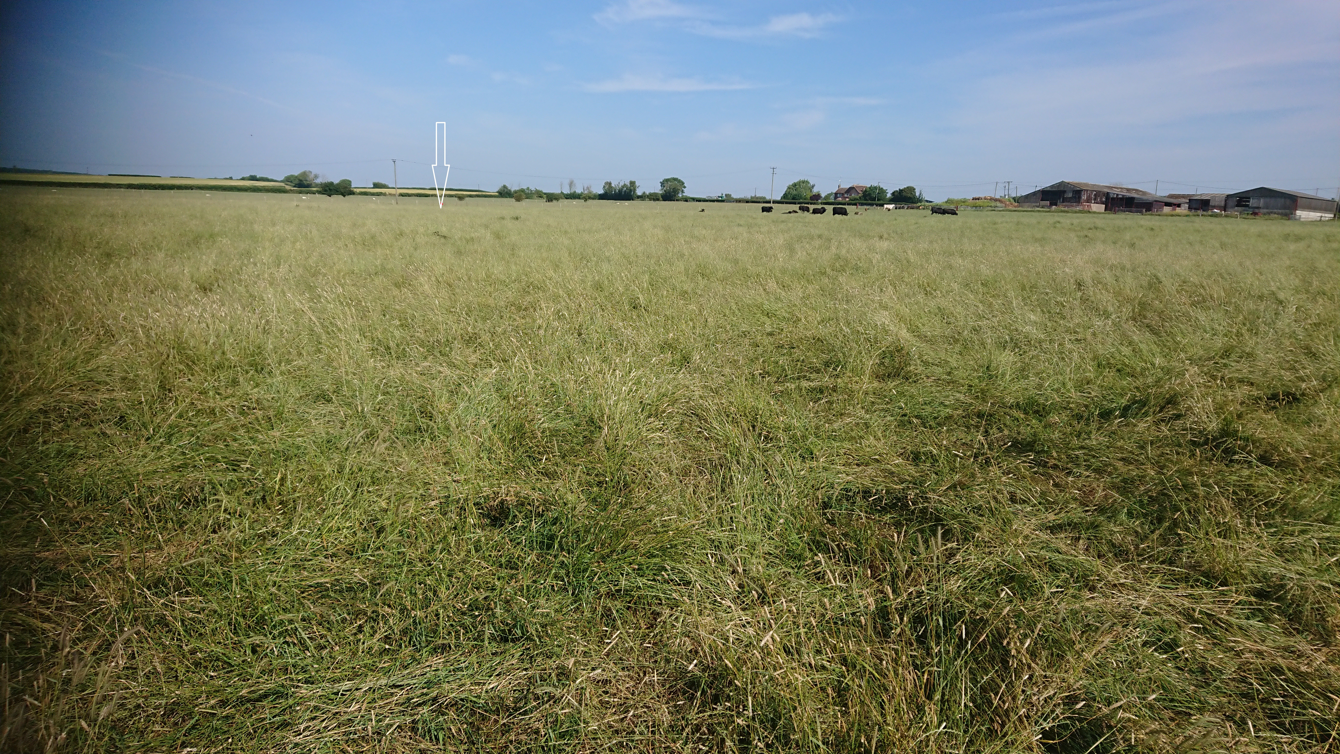 Today at work | Page 7867 | The Farming Forum