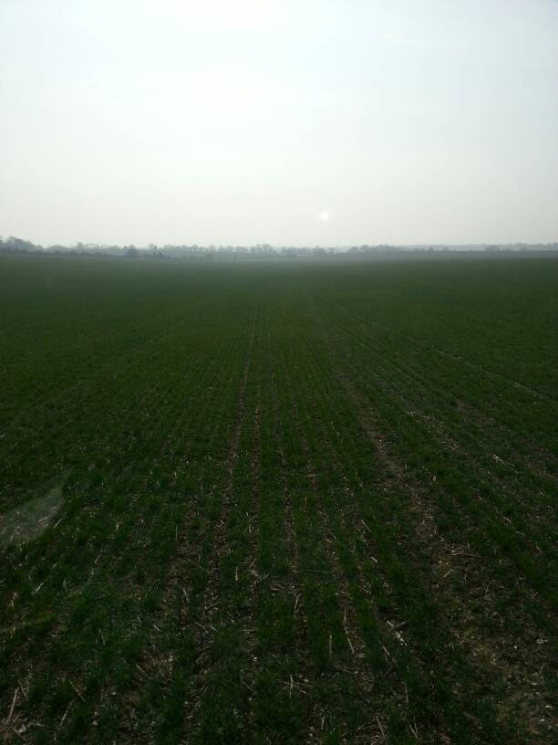 Direct/Strip-till drilling photo gallery | Page 36 | The Farming Forum