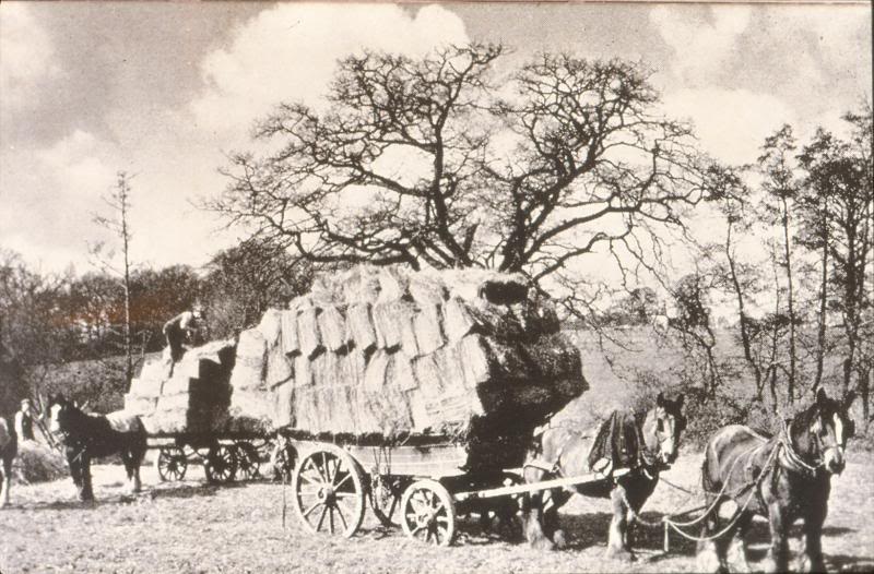 Groby Farms, Leicestershire - Photos through the decades! | Page 2 ...