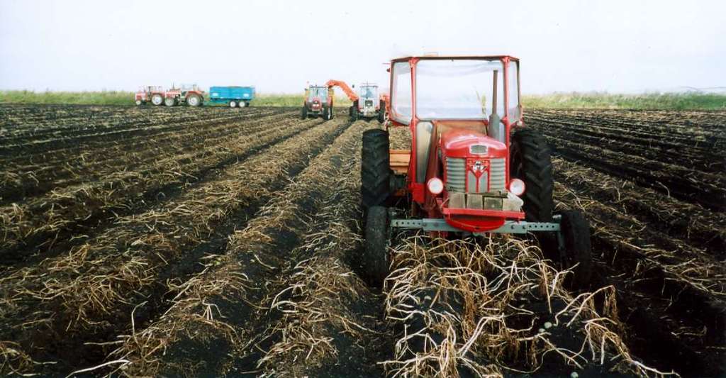 Best tractor of the 80's | Page 19 | The Farming Forum