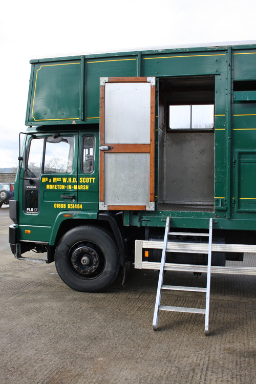 Pedigree cattle showbox for sale direct by farmer owner | The Farming Forum