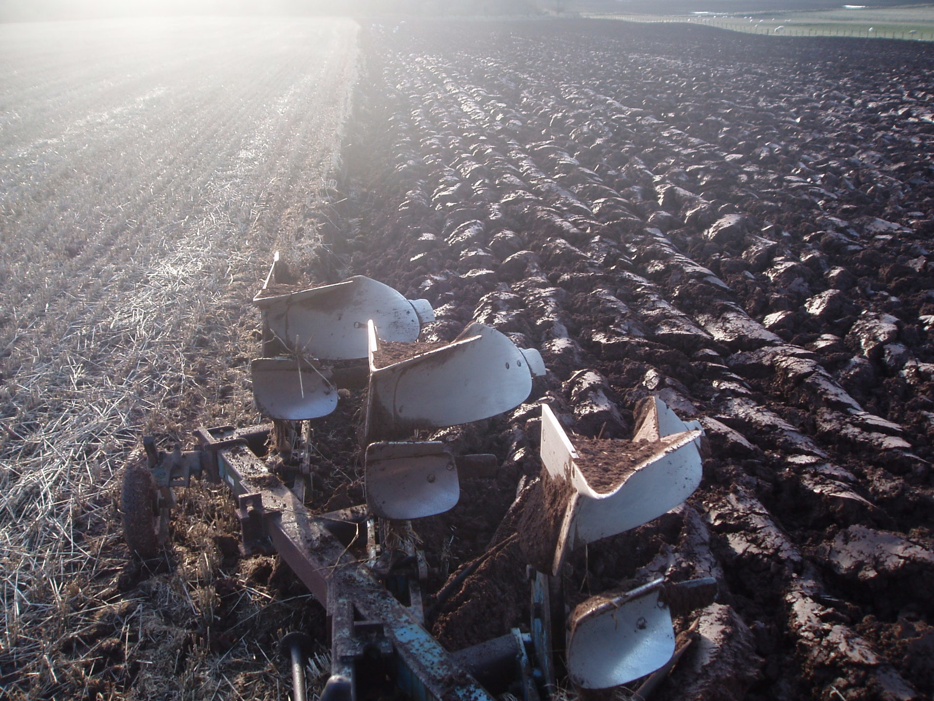 Classic ploughing | The Farming Forum