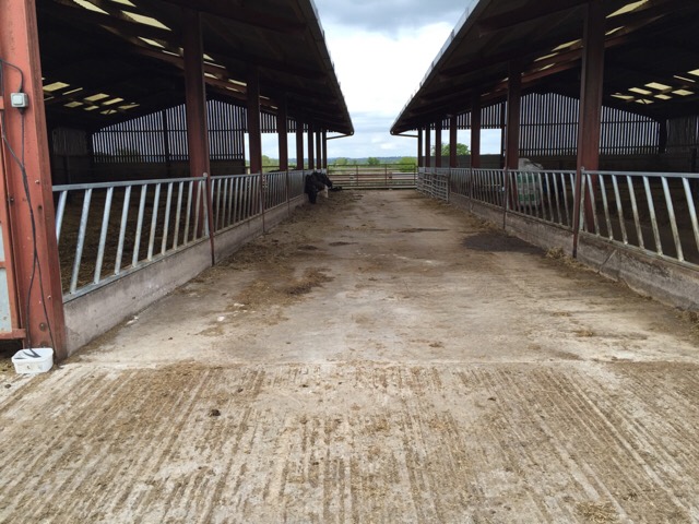 New cattle shed design | Page 2 | The Farming Forum