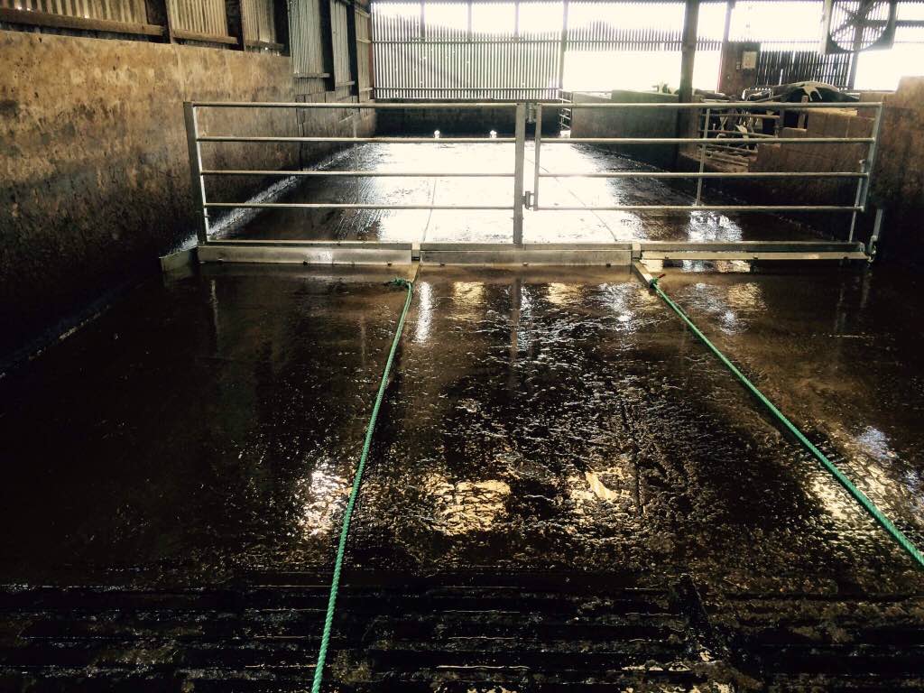 Backing gate | The Farming Forum