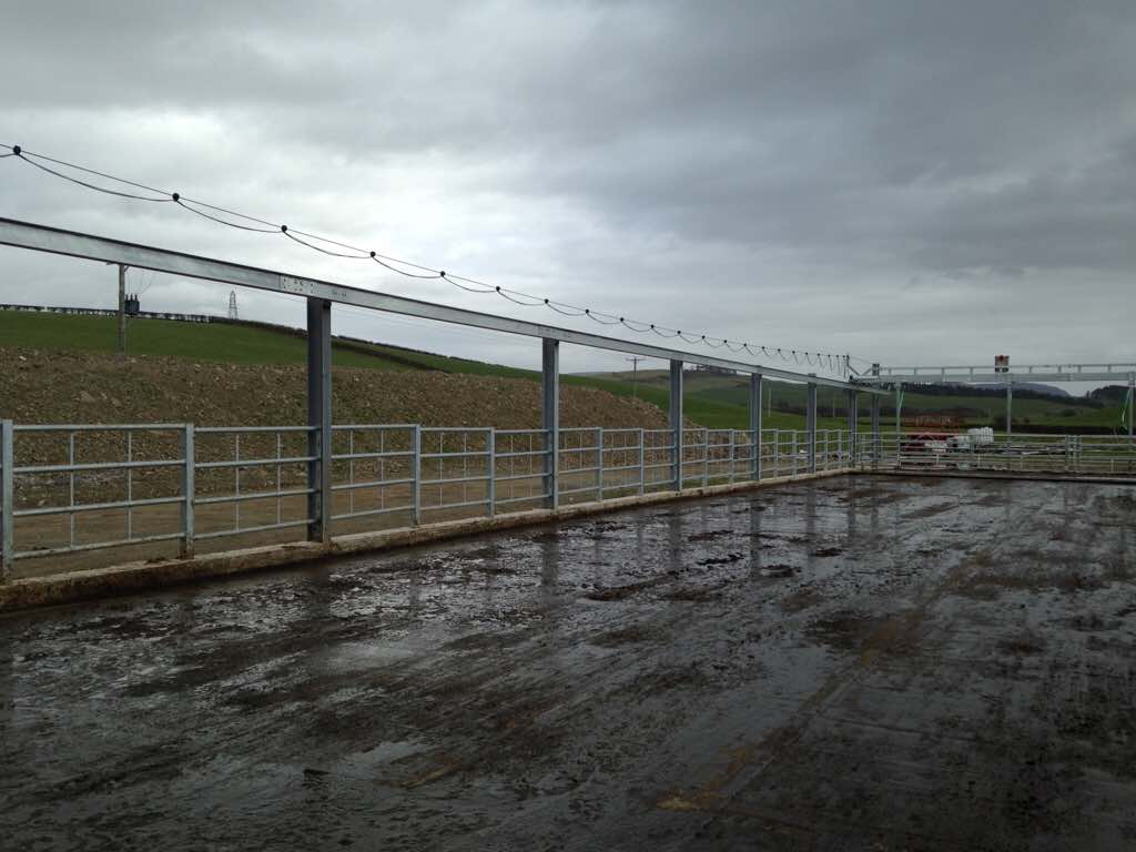 Backing gate | The Farming Forum