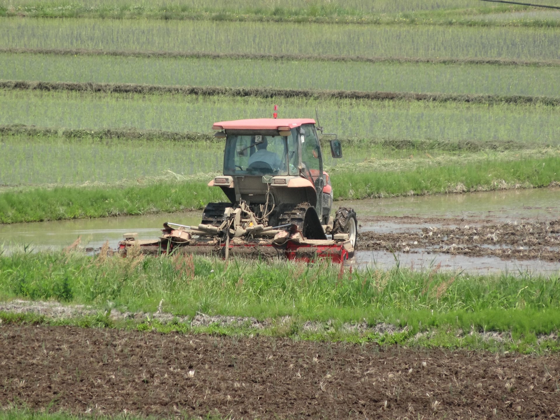 Exfarmer(on a bike) blog: A Japanese adventure | Page 3 | The Farming Forum