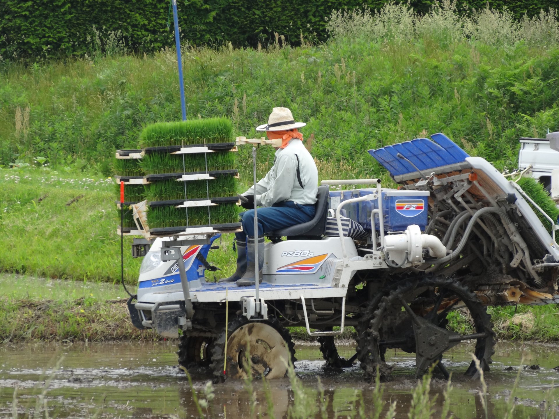 Exfarmer(on a bike) blog: A Japanese adventure | Page 3 | The Farming Forum