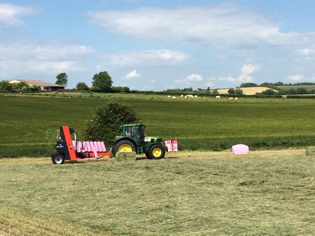 Marshmallow farming | The Farming Forum