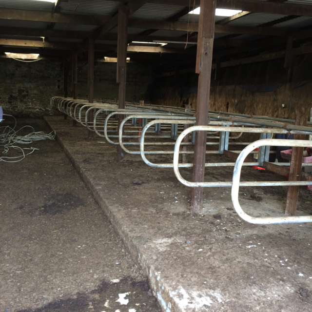 Cow kennels for sucklers? | Page 5 | The Farming Forum
