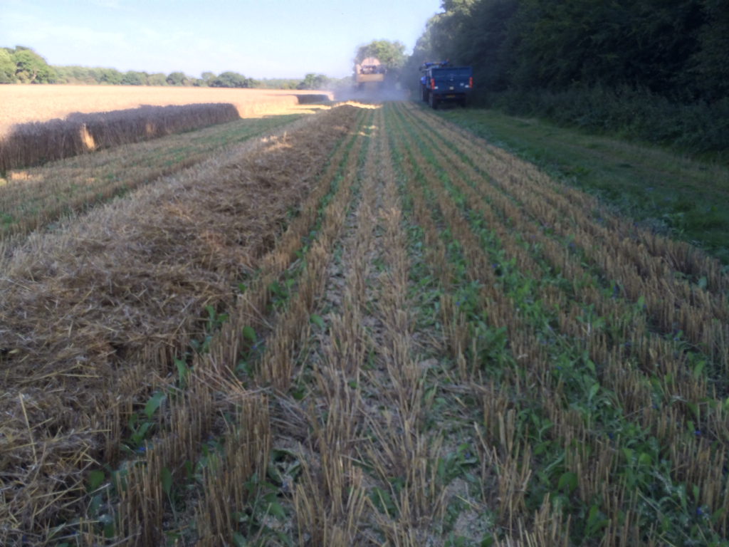 Broadcasting cover crops??? | Page 3 | The Farming Forum