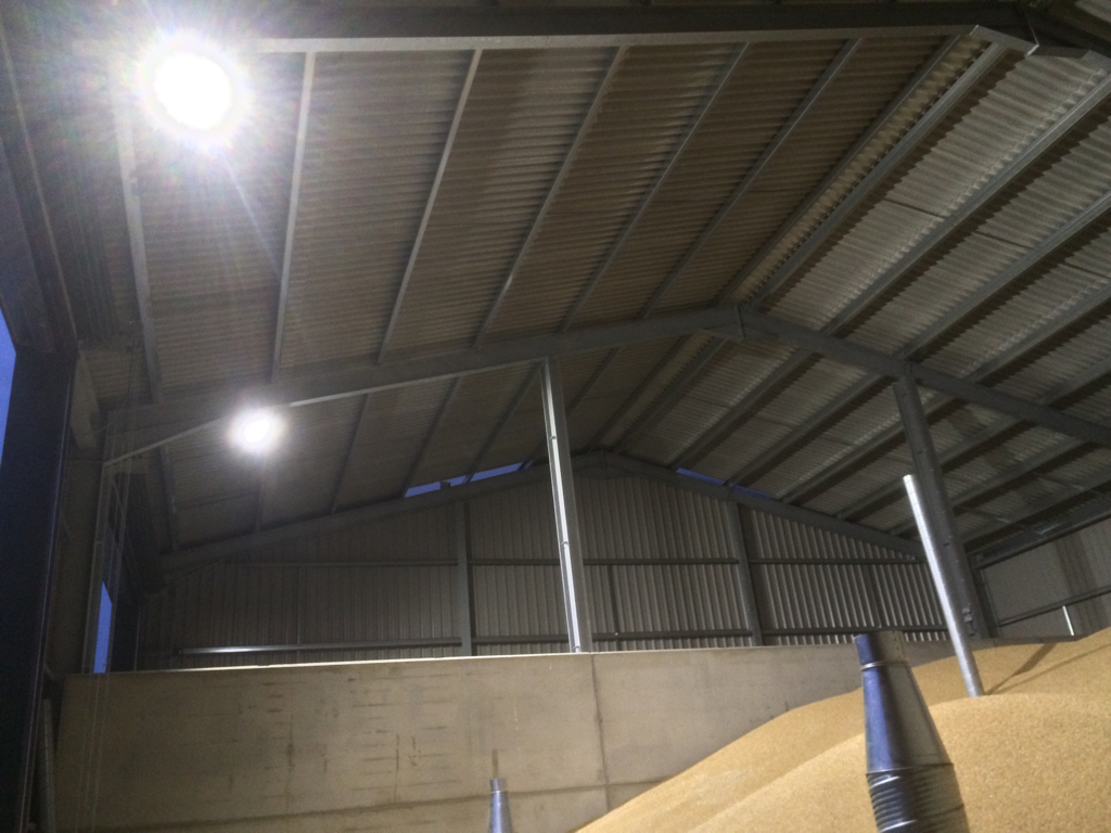 Grain store lighting | The Farming Forum