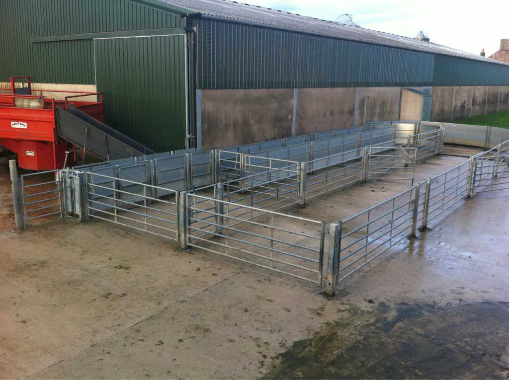 Bugle sheep handling system. | Page 2 | The Farming Forum