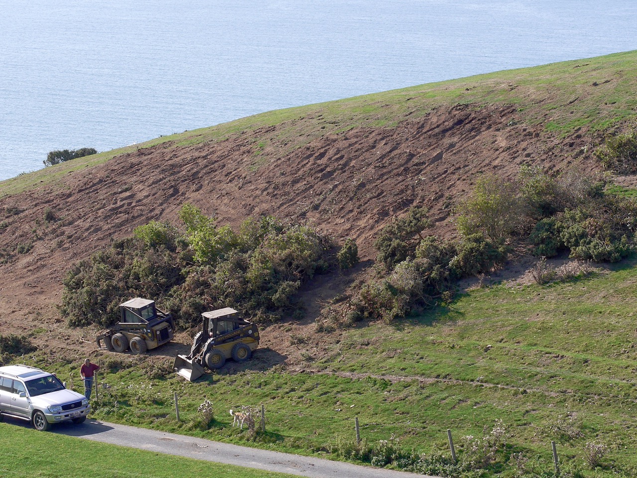 Rare footage of twin skiddies clearing gorse | The Farming Forum