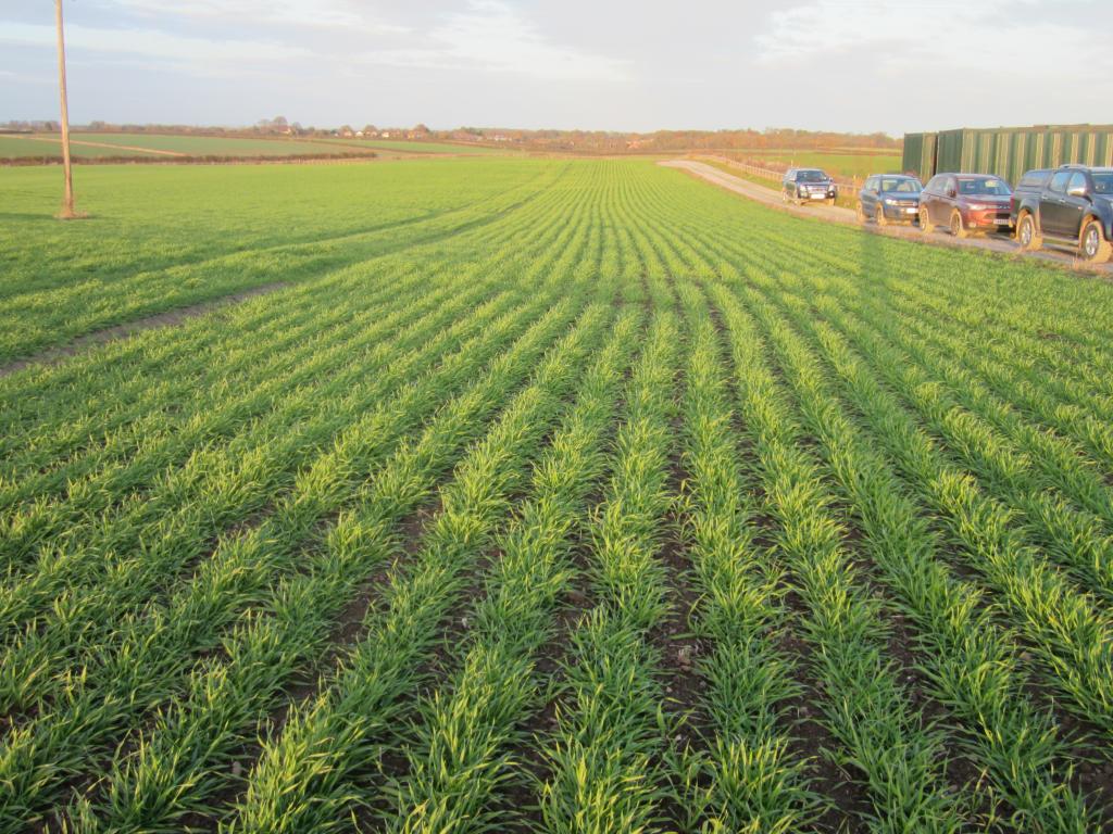 Direct/Strip-till drilling photo gallery | Page 8 | The Farming Forum