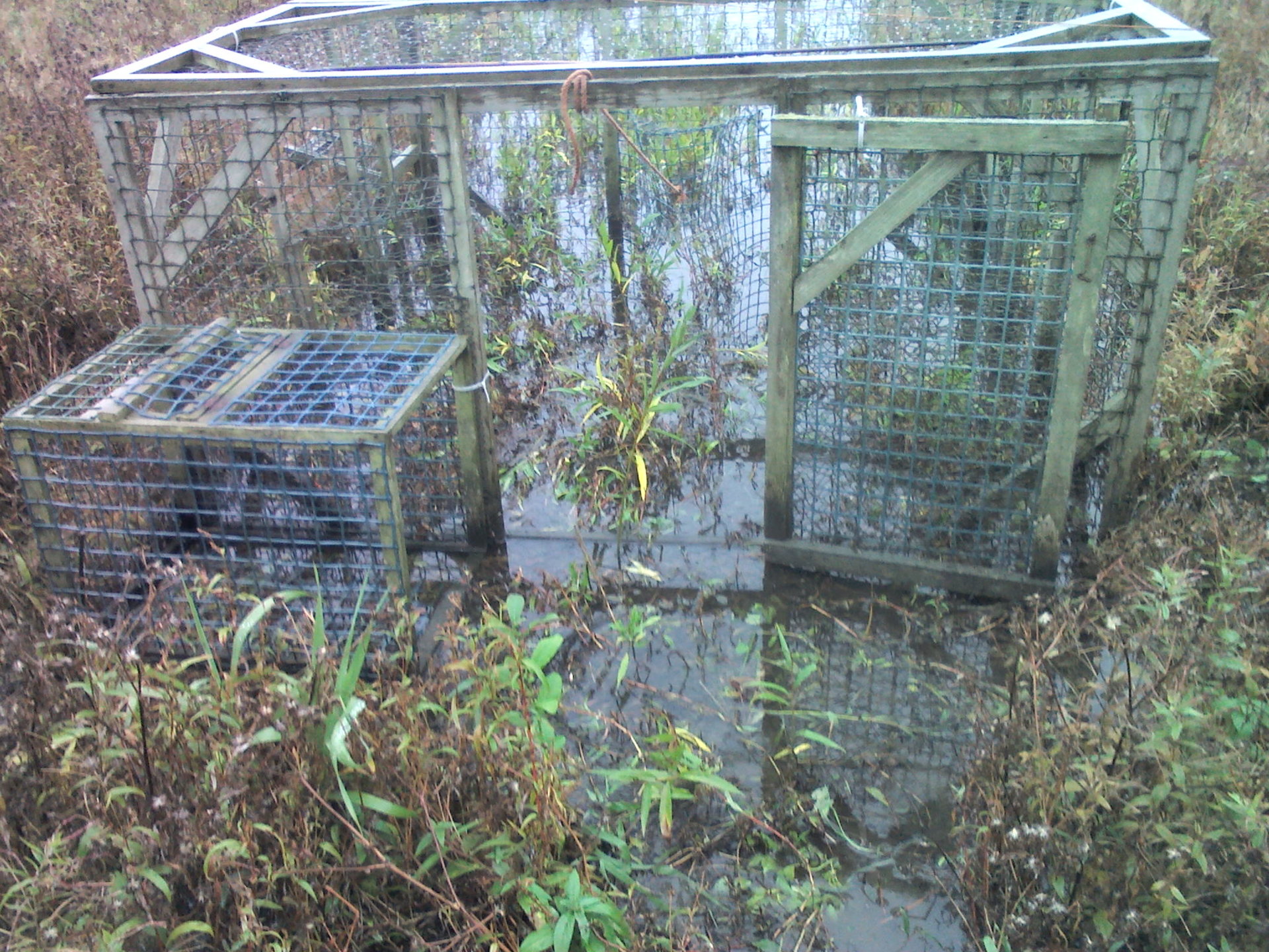 Duck cage/trap | The Farming Forum