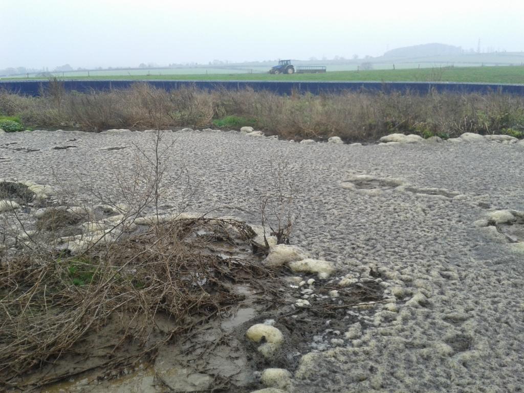 Bacteria working in slurry | The Farming Forum