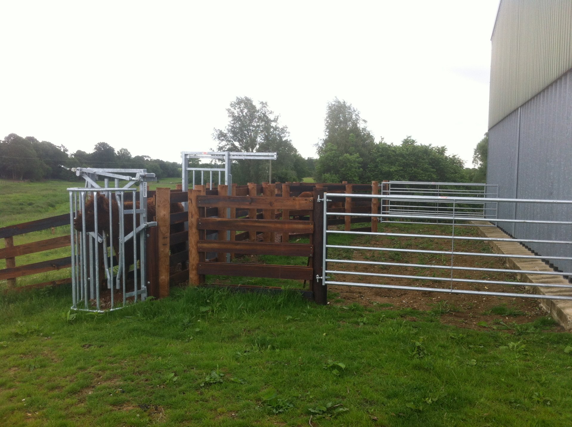 Recommended Cattle Crush / System | Page 3 | The Farming Forum