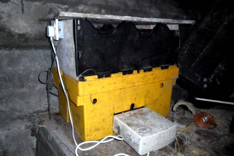 lamb warming box | Page 2 | The Farming Forum