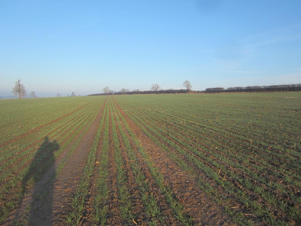 Direct/Strip-till drilling photo gallery | Page 10 | The Farming Forum