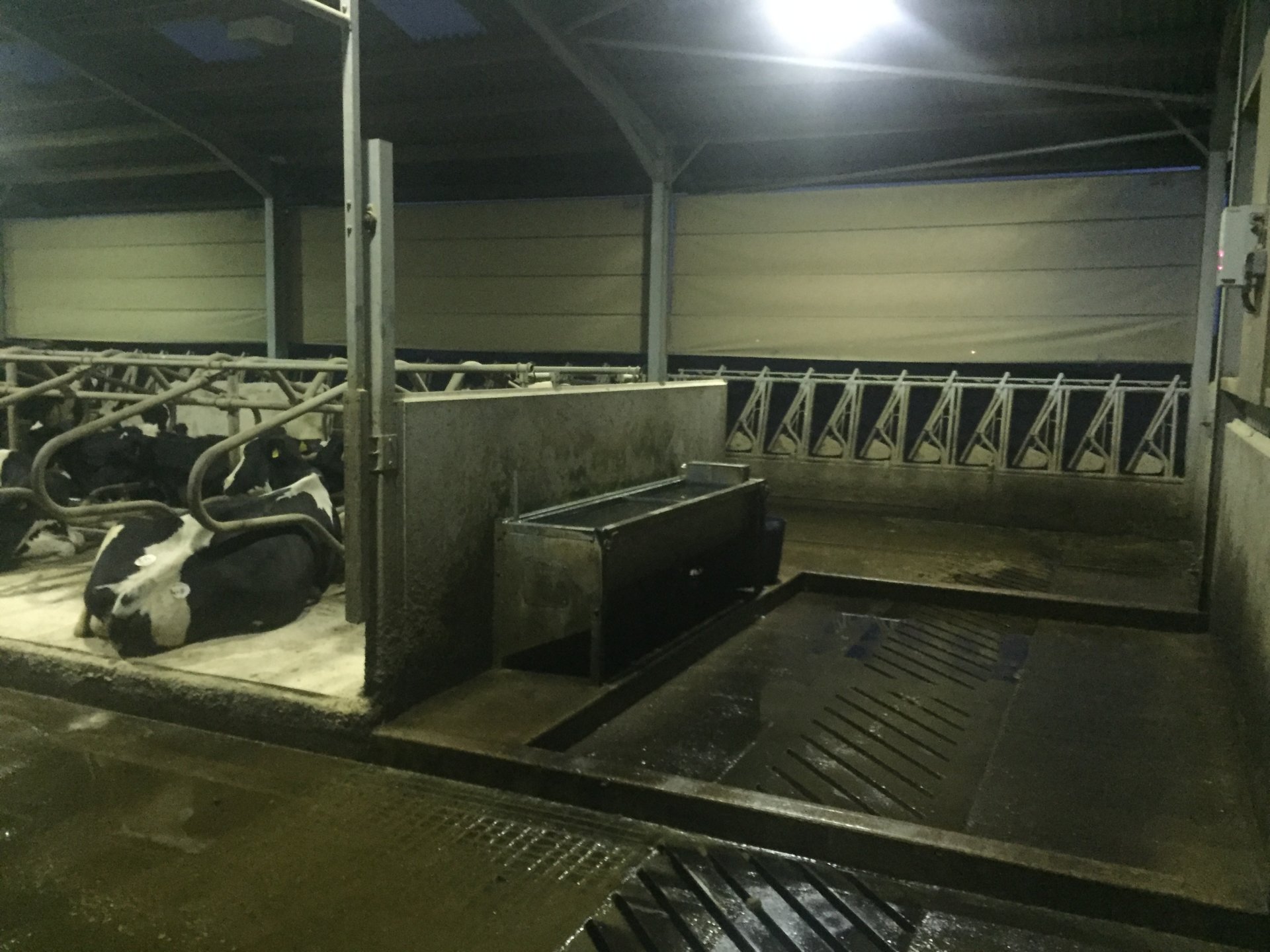 Deep bed cubicles with granula lime | Page 2 | The Farming Forum