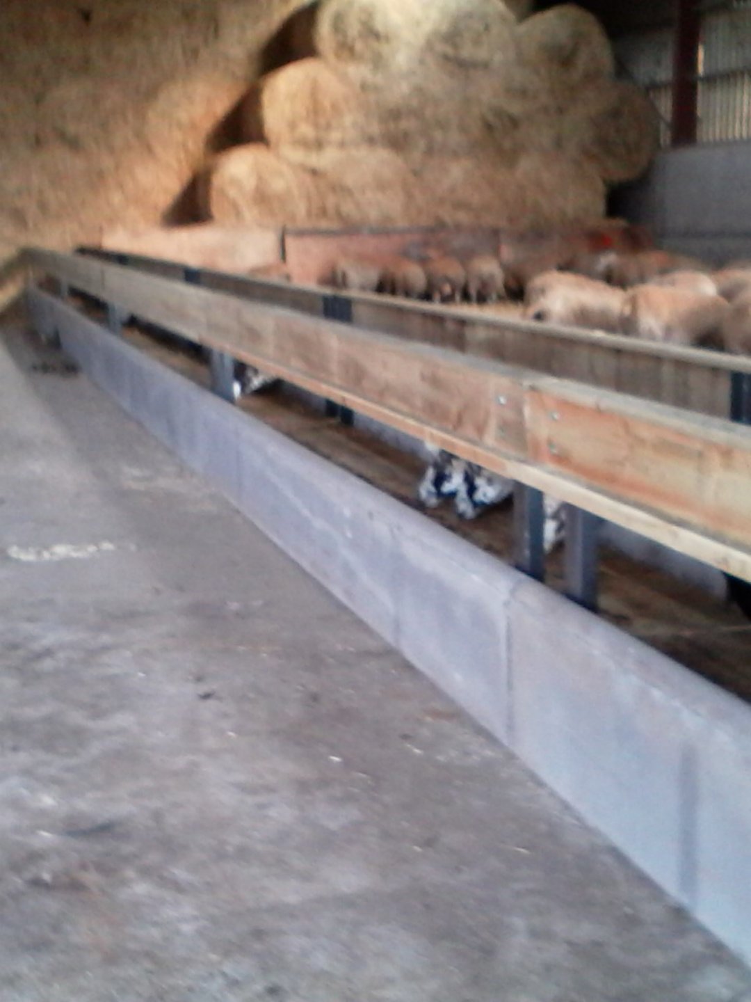 Walk through troughs.. Good or bad? | The Farming Forum