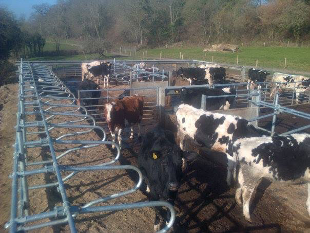 outside cubicles | The Farming Forum