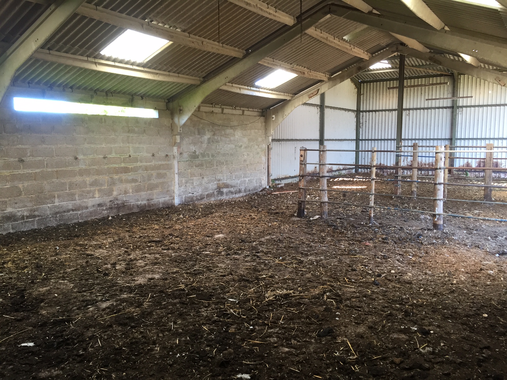 Calf rearing/layout? | The Farming Forum