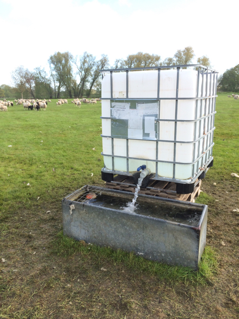 Ideas on easy to move portable water troughs for Sheep?? | Page 2 | The ...
