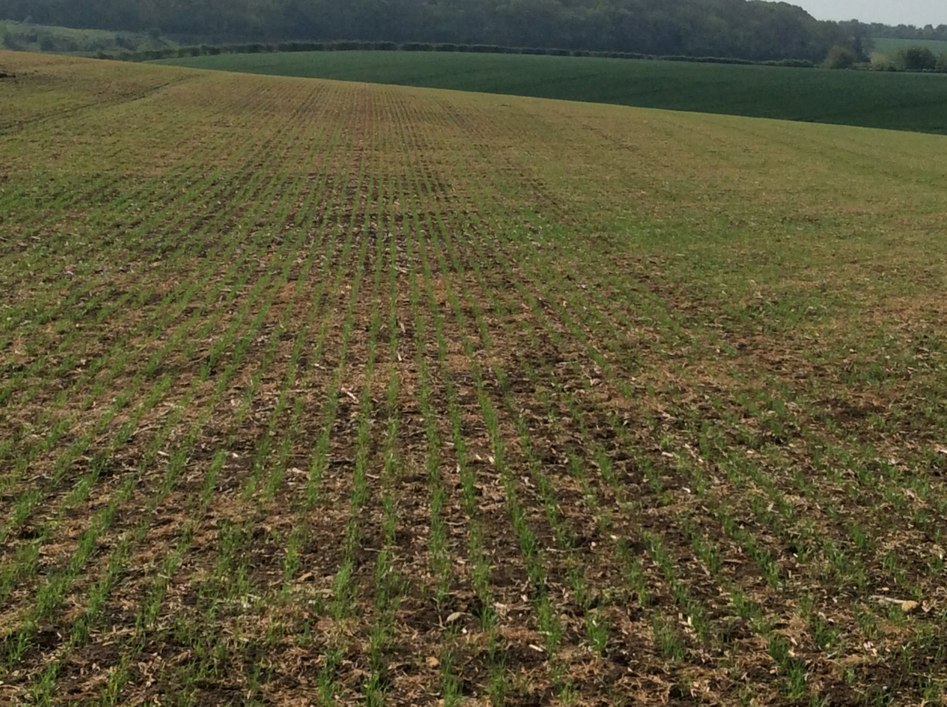 Weaving GD demo | Page 4 | The Farming Forum
