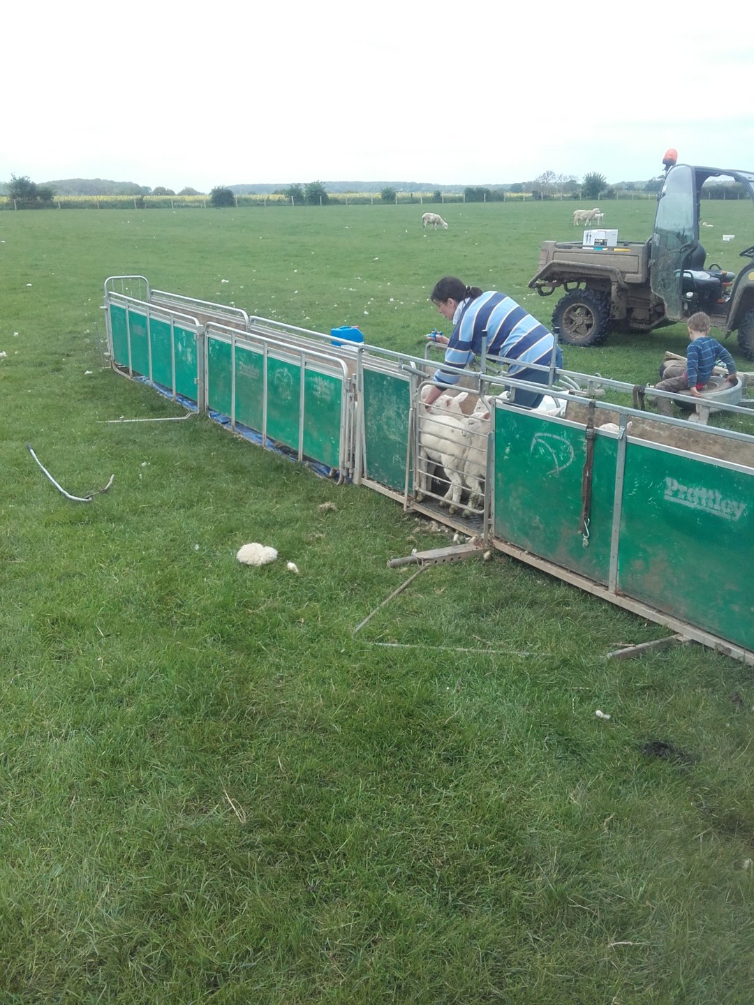 sheep foot mats | The Farming Forum
