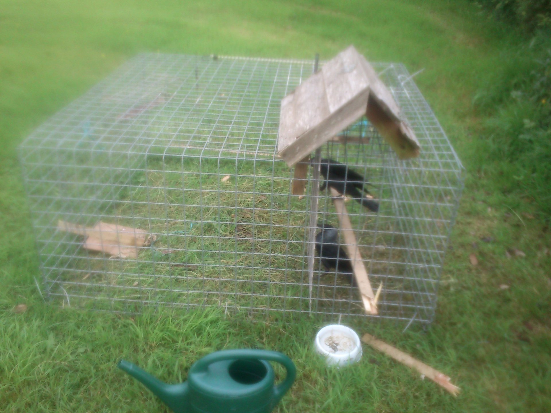 Trap build | Page 2 | The Farming Forum