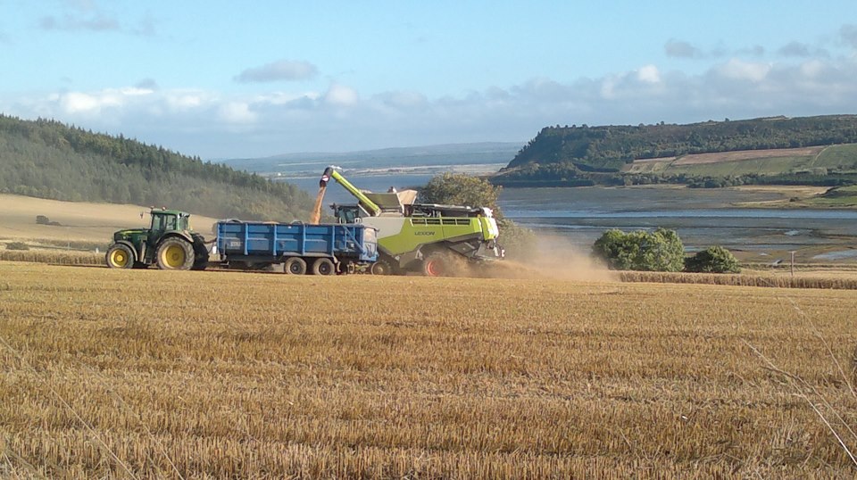 random tractor photos ive taken over the years | The Farming Forum